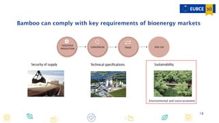 Potential of Bamboo for Renewable Energy: Opportunities, Challenges and ...