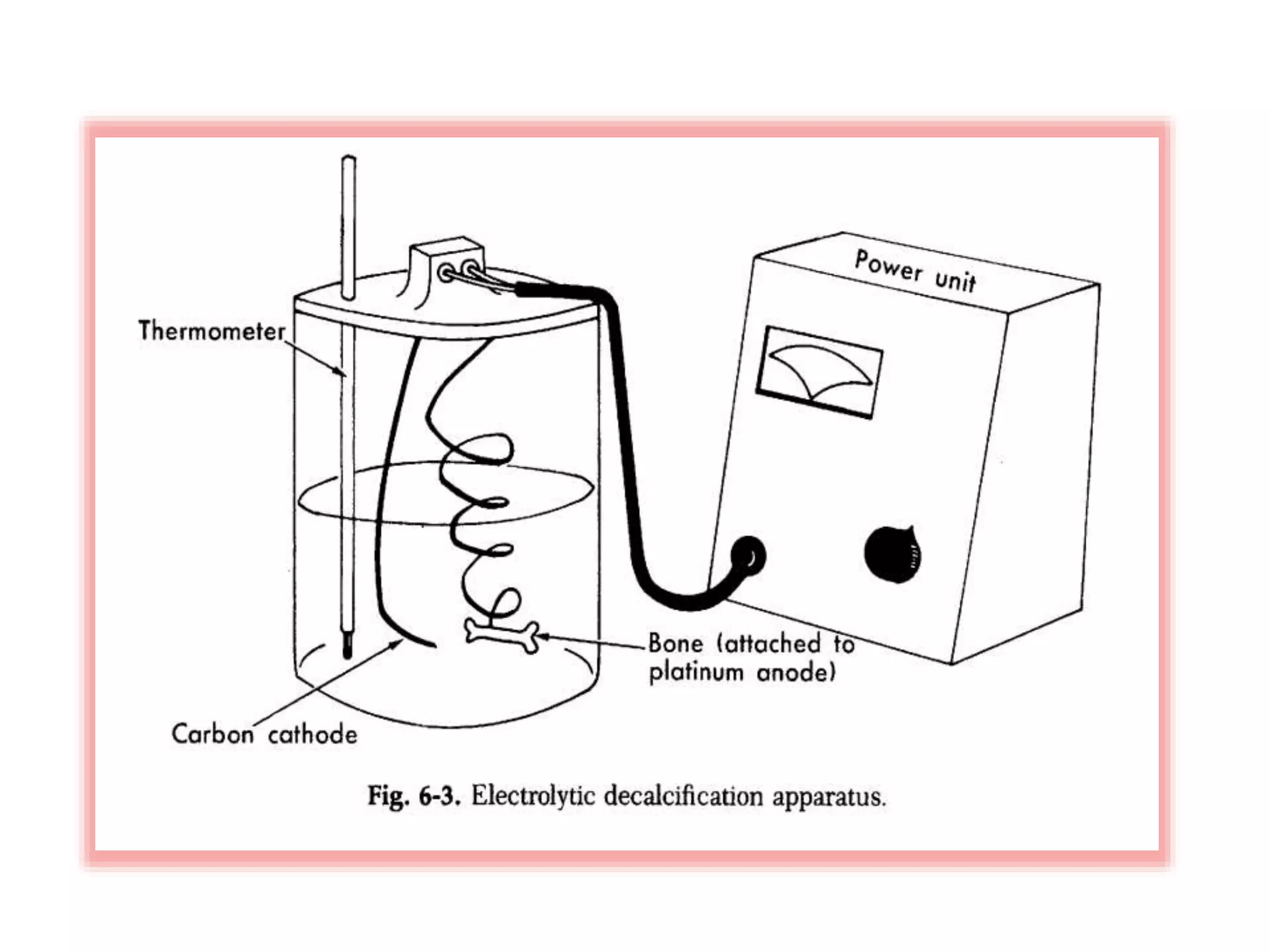 DECALCIFICATION | PPTX