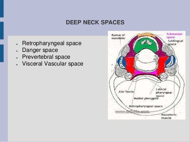 Deep Neck Spaces