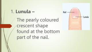 FINAL DEMO-NAIL CARE 7.pptx