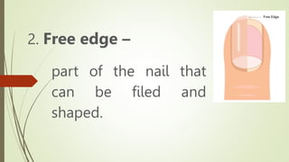 FINAL DEMO-NAIL CARE 7.pptx