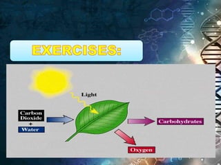 Writing and Balancing Chemical Equation | PPTX