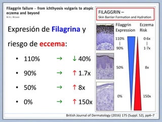 Mecanismos de daño en dermatitis atópica | PPTX