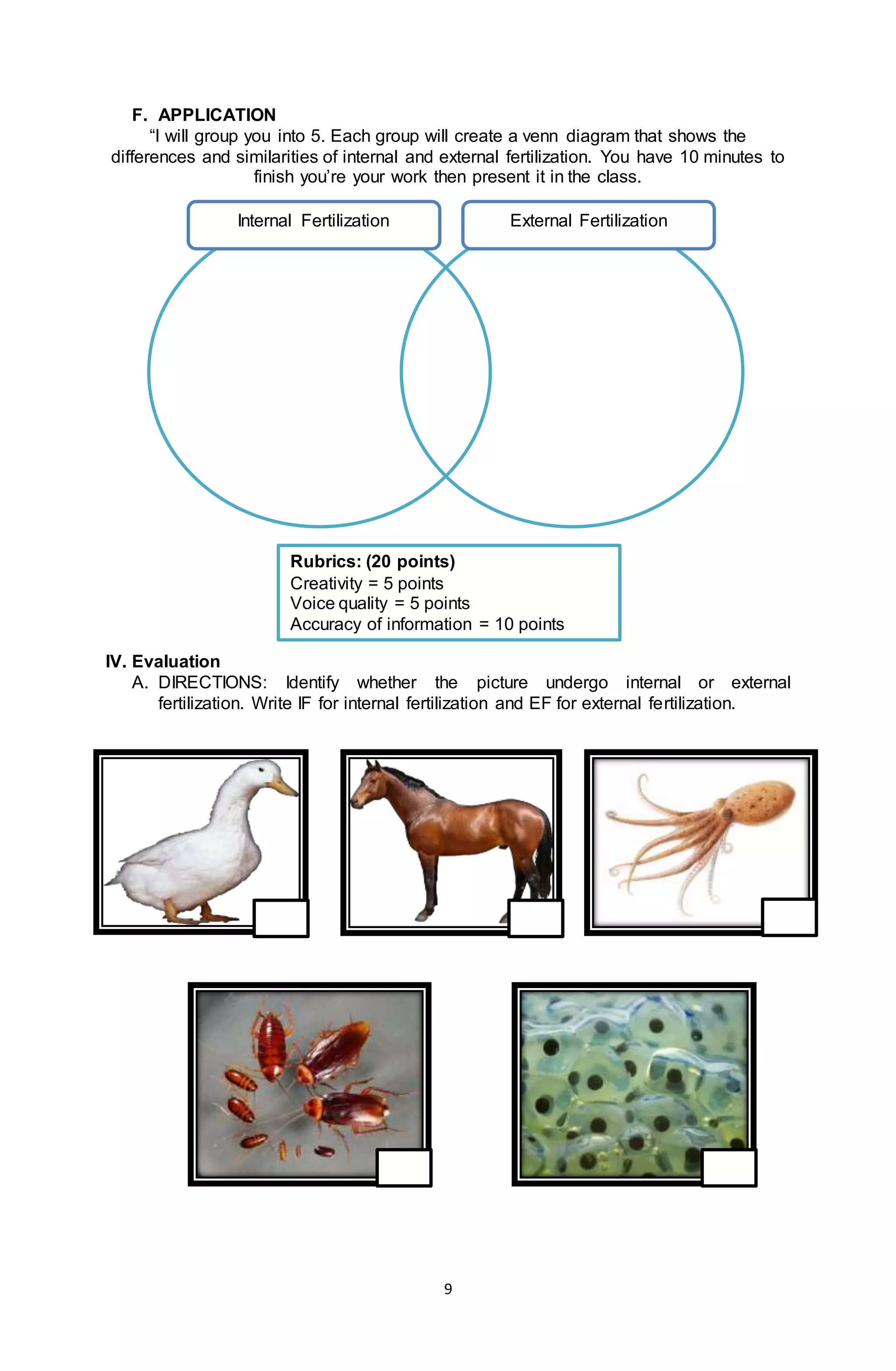 Sexual Reproduction in Animal (Internal and External Fertilization | DOCX