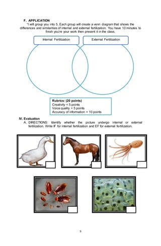 Sexual Reproduction in Animal (Internal and External Fertilization | DOCX