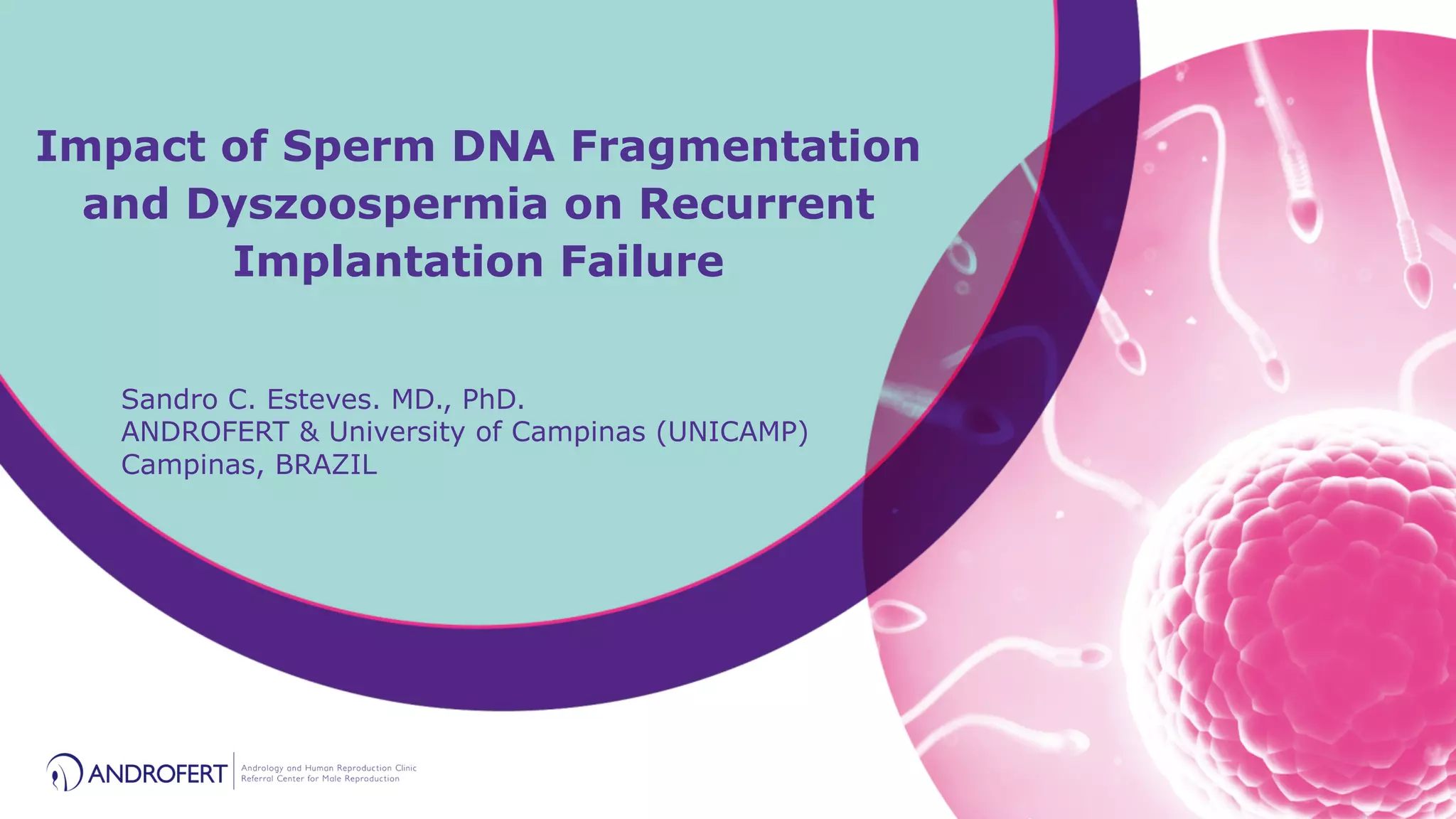 Impact of Sperm DNA Fragmentation and Dyszoospermia on Recurrent ...