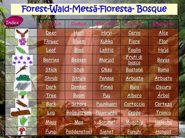 Final dictionary | PPTX | Environment | Science