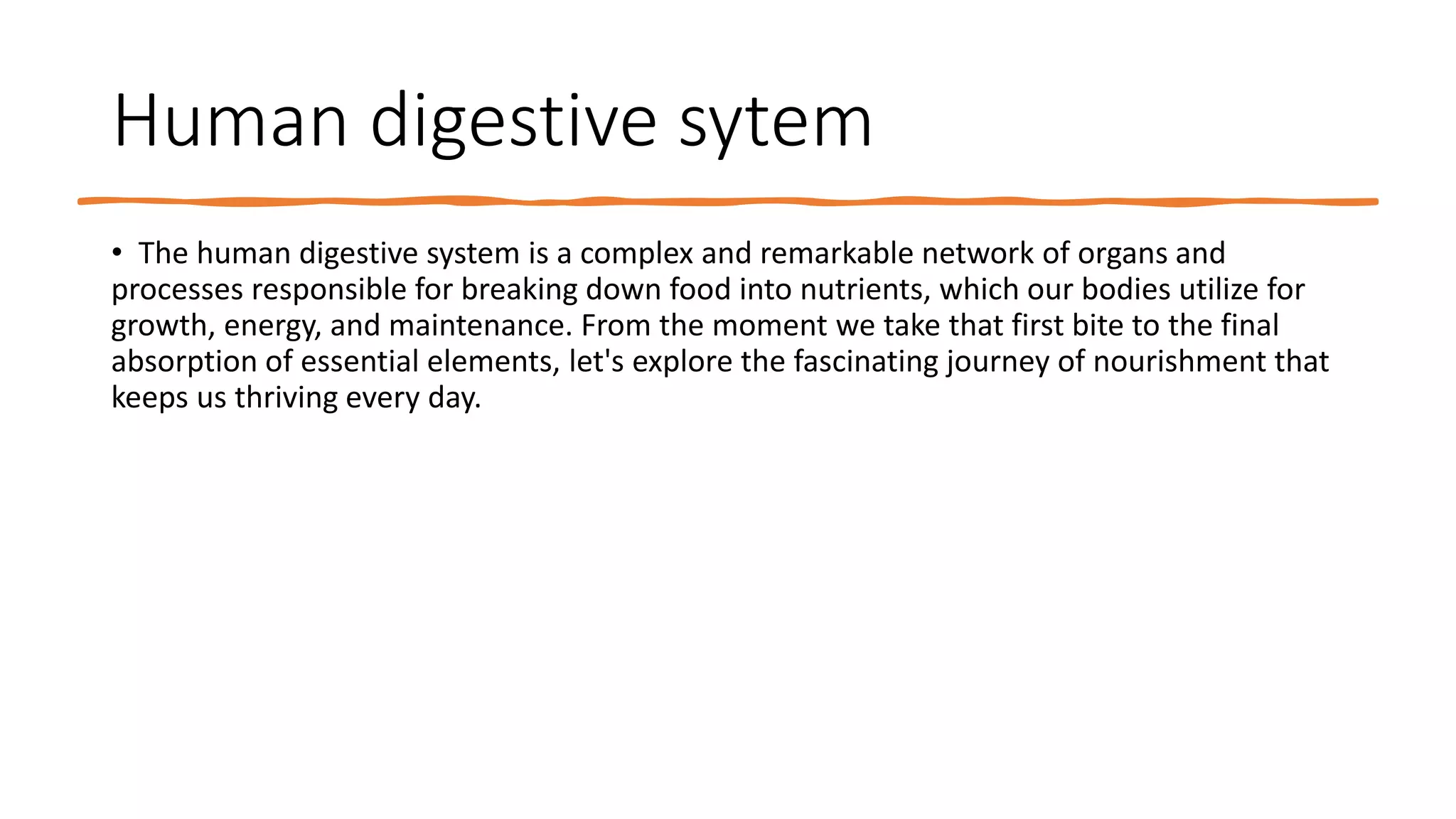 digestive system .pptx