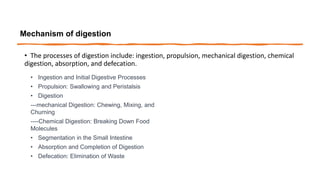 digestive system .pptx