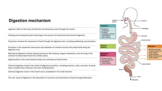 digestive system .pptx