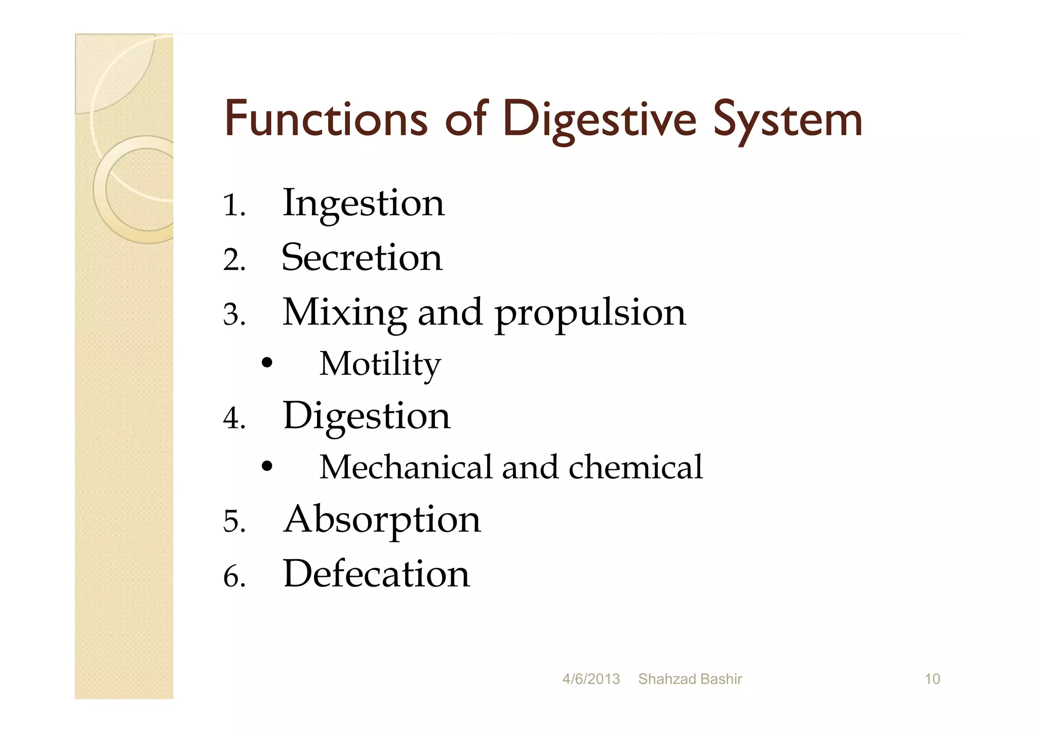 Final digestive system. | PPT
