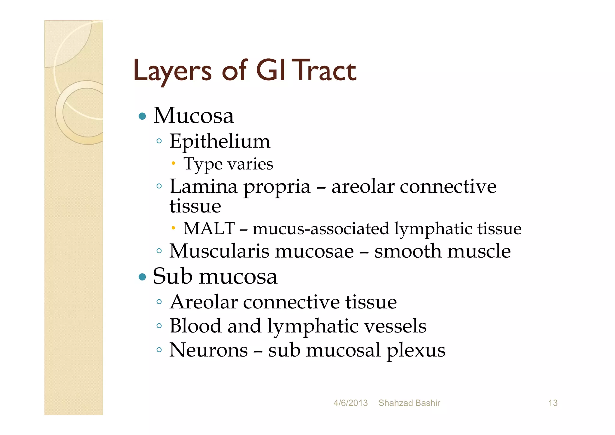Final digestive system. | PPT