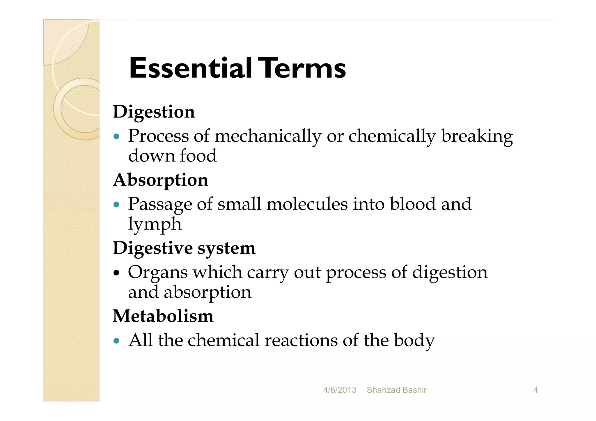 Final digestive system. | PPT