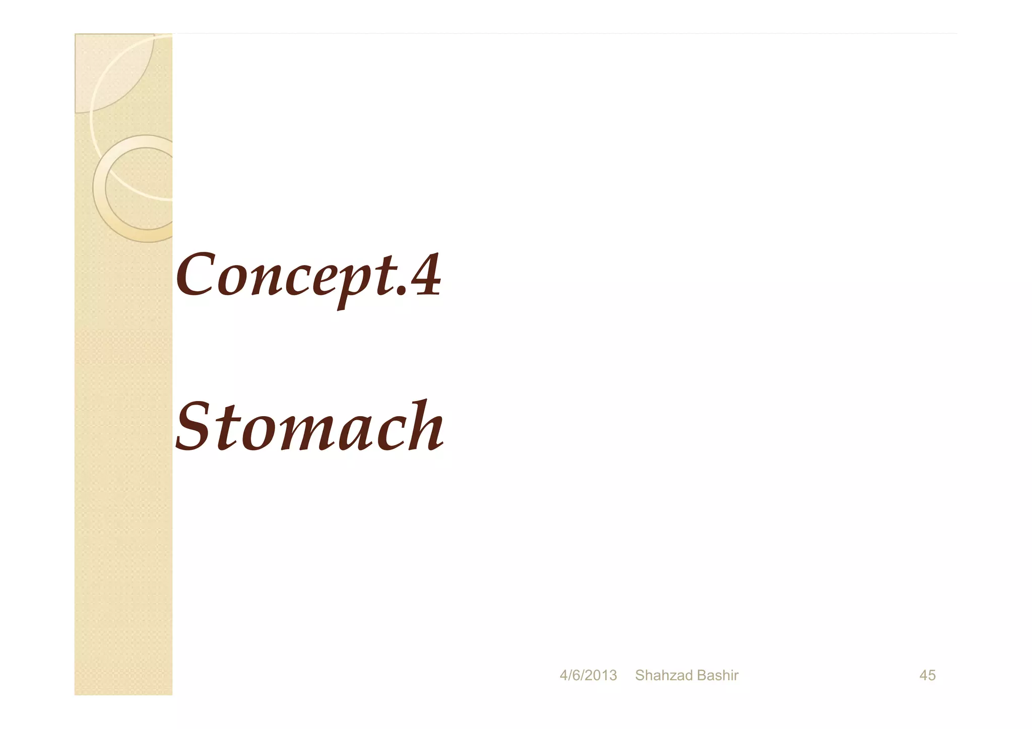Final digestive system. | PPT