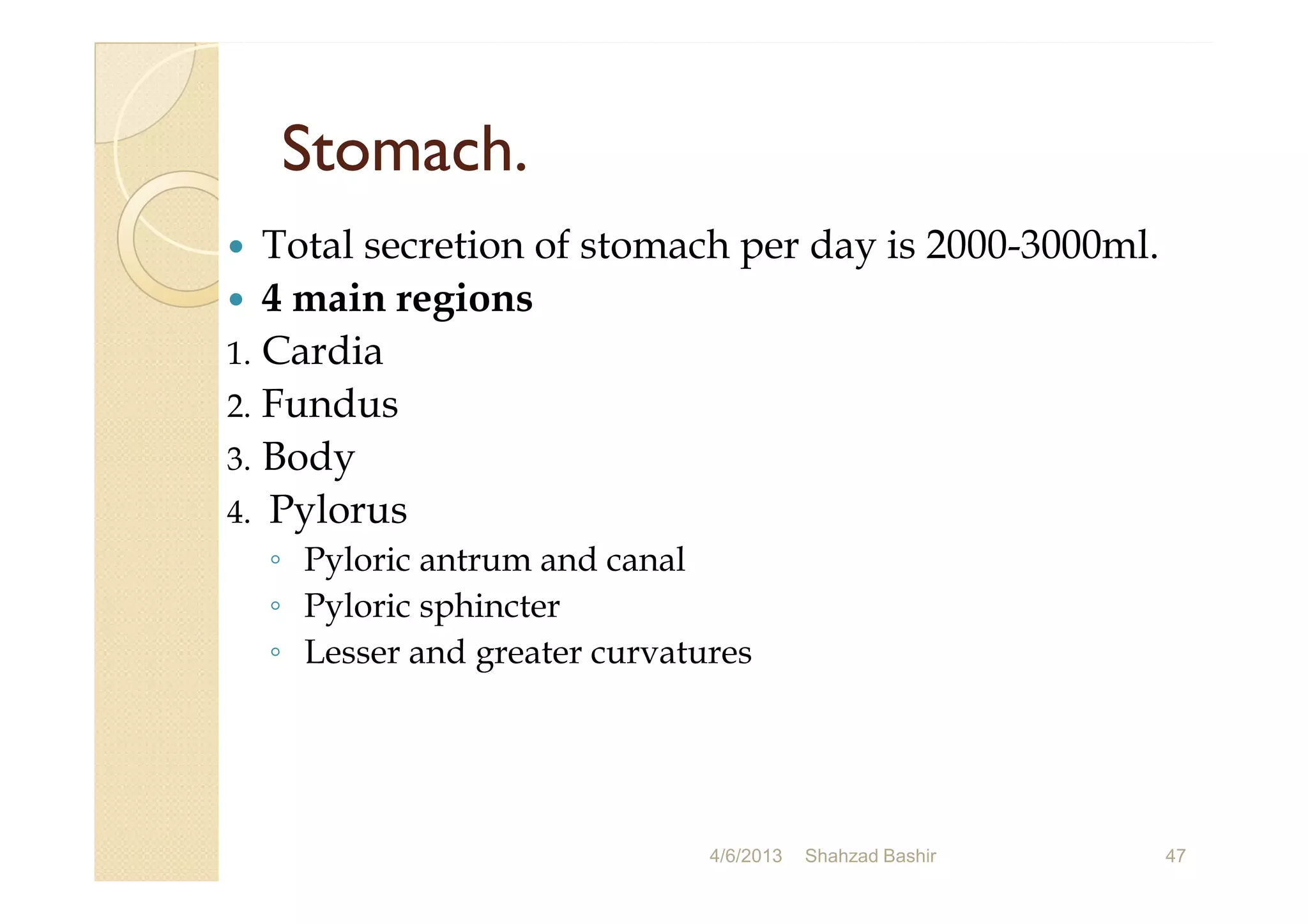 Final digestive system. | PPT