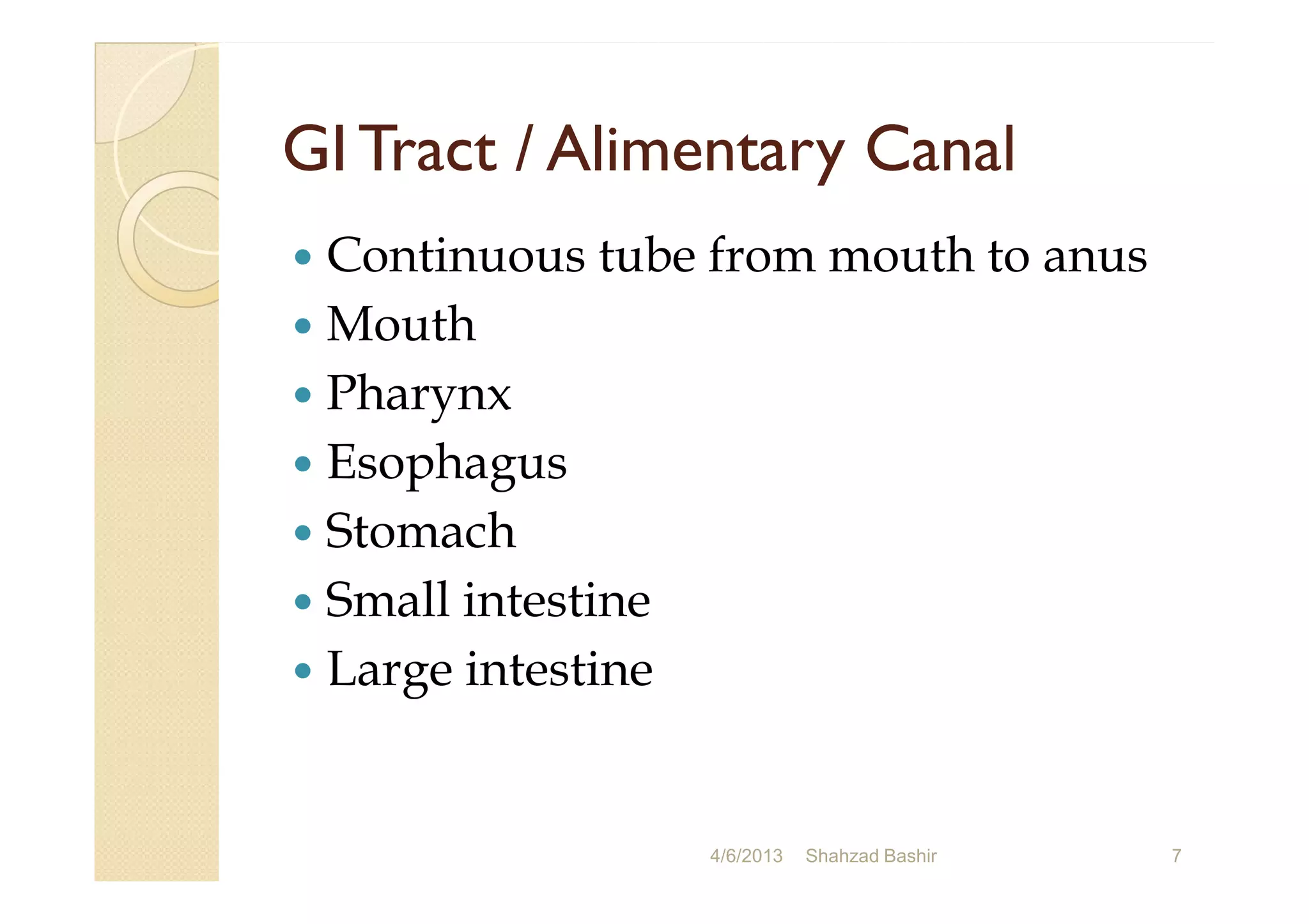 Final digestive system. | PPT