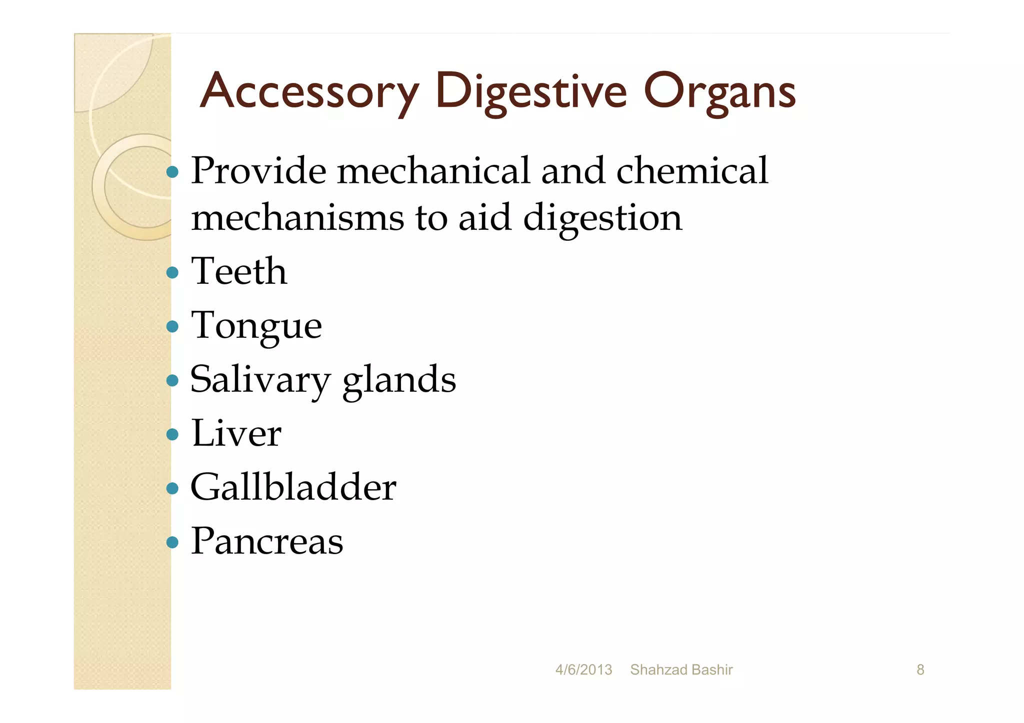 Final digestive system. | PPT
