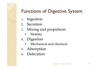 Final digestive system. | PPT