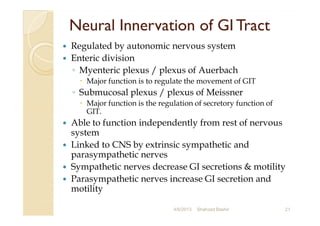 Final digestive system. | PPT