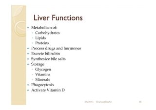 Final digestive system. | PPT