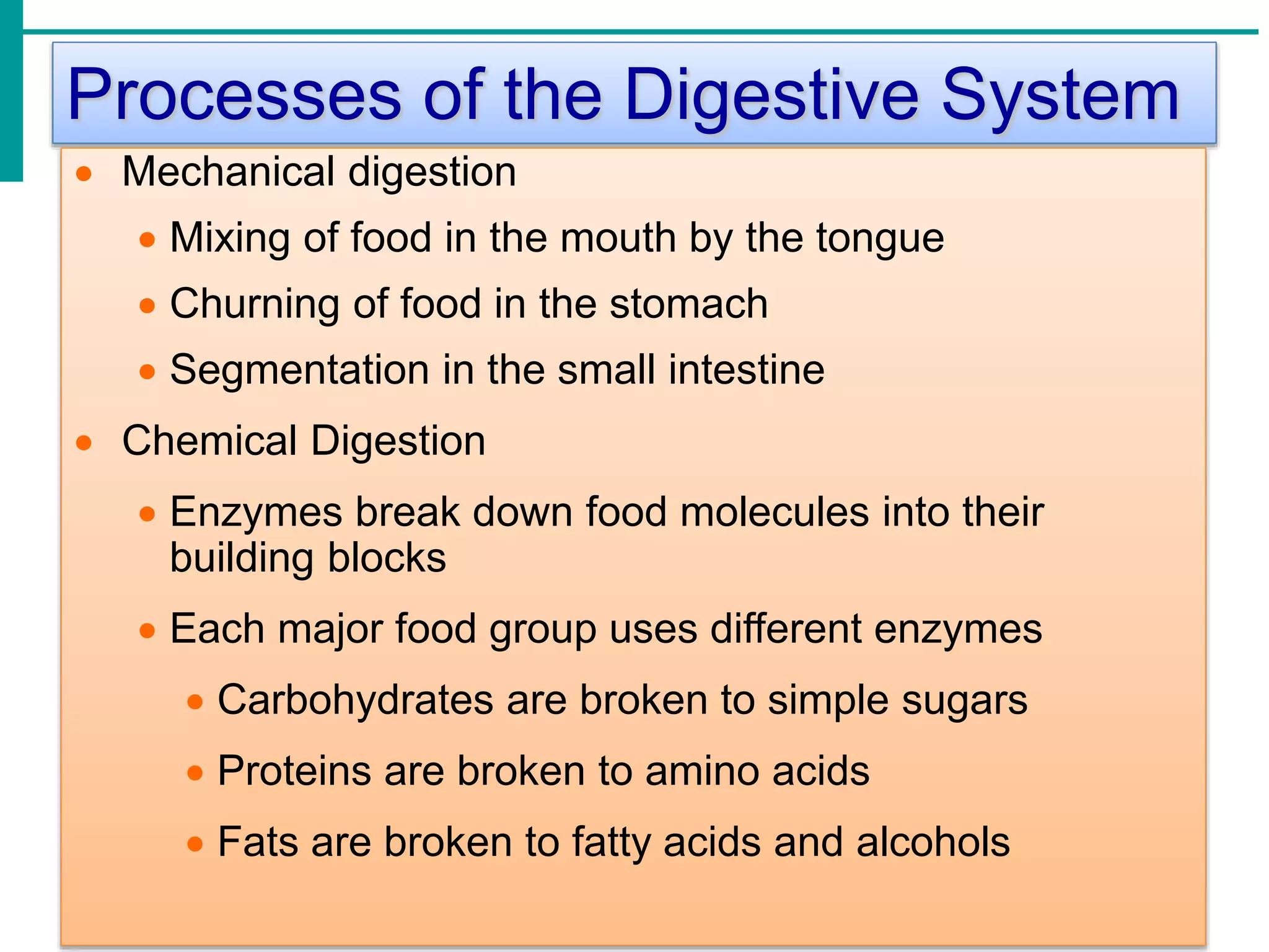 digestive system and disorders | PPTX | Digestive Disorders | Diseases ...