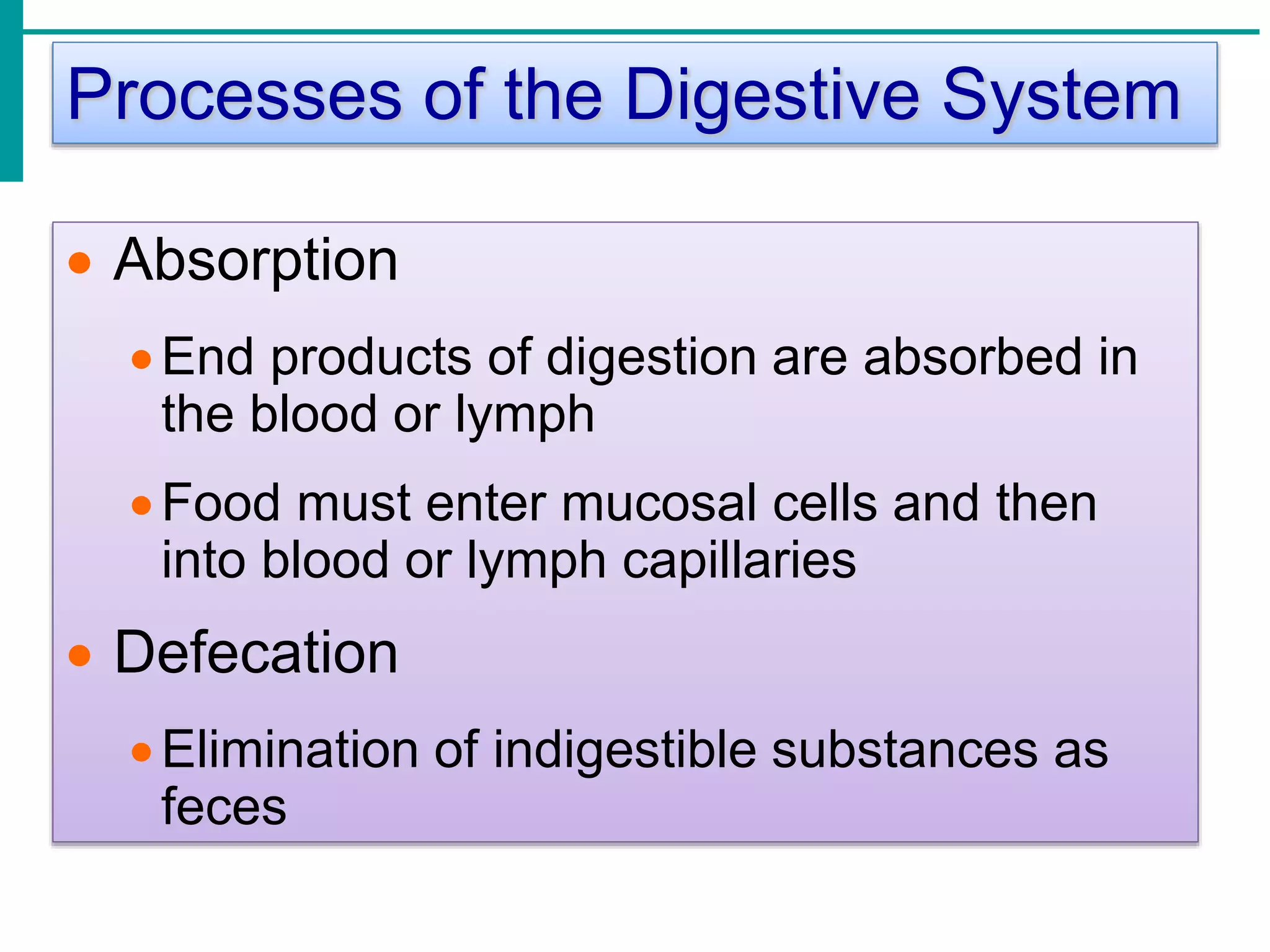 digestive system and disorders | PPTX | Digestive Disorders | Diseases ...
