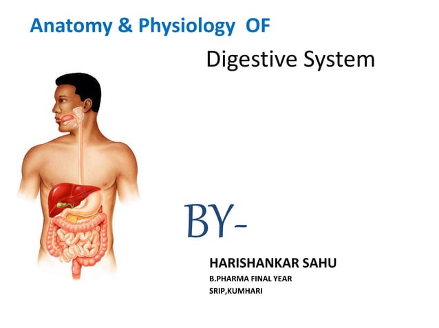 digestive system and disorders | PPTX | Digestive Disorders | Diseases ...