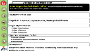 Final Diseases of EAR.pptx
