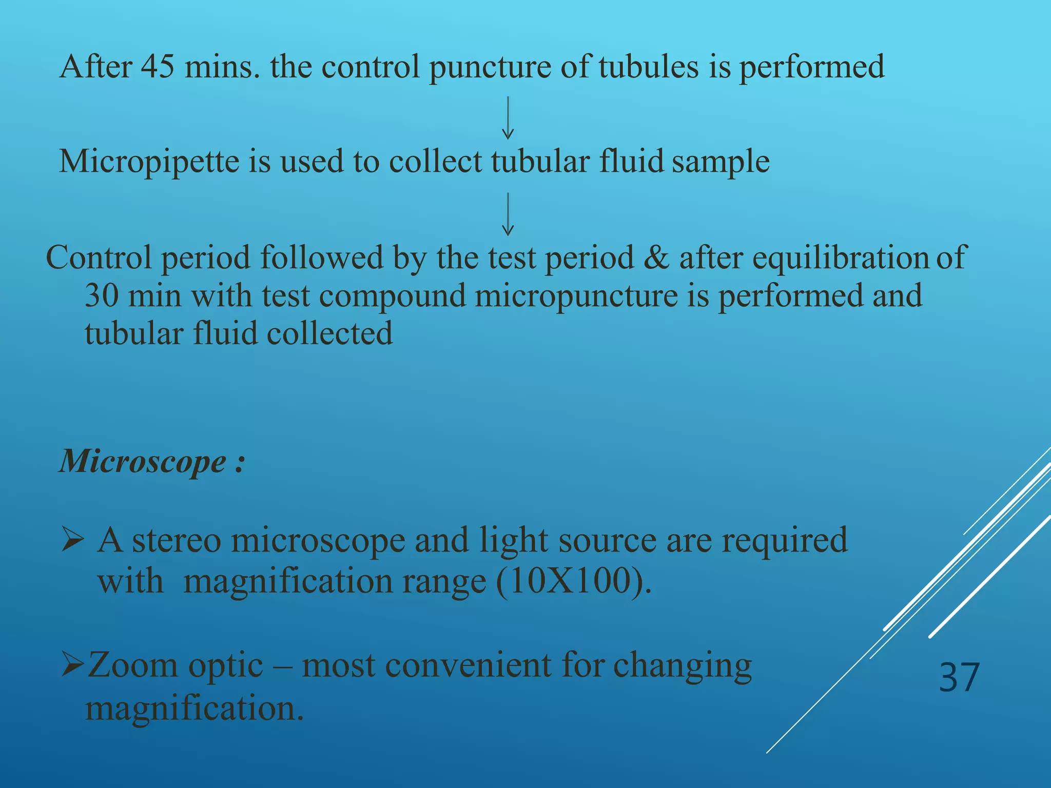 Diuretic Preclinical Screening models | PPTX