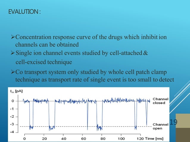 Diuretic Preclinical Screening models | PPTX | Chemistry | Science