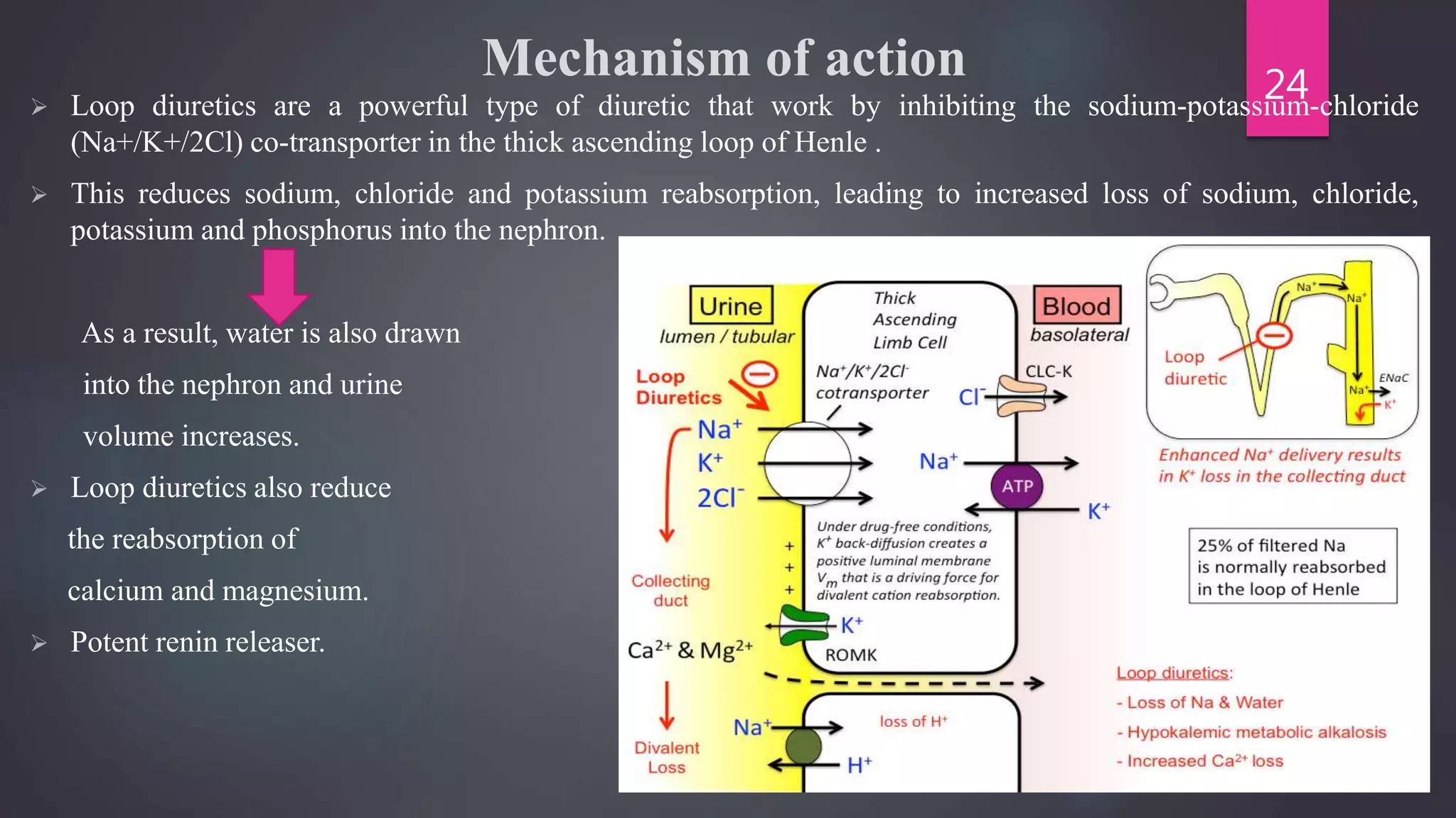 Pharmacology of diuretics-antidiuretics | PPTX