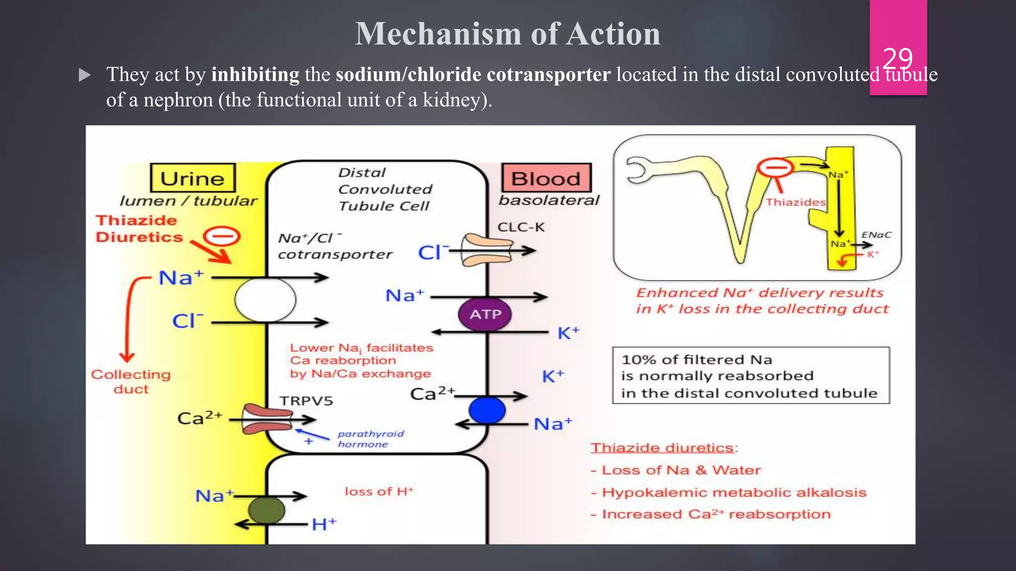 Pharmacology of diuretics-antidiuretics | PPTX