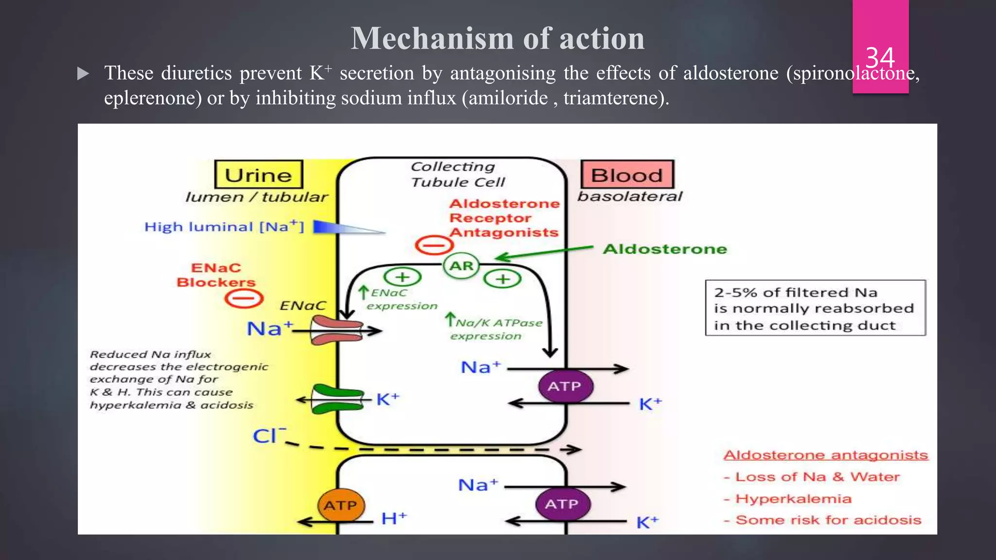 Pharmacology of diuretics-antidiuretics | PPTX