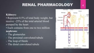 Pharmacology of diuretics-antidiuretics | PPTX