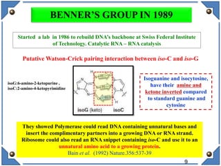 DNA new alphabet | PPT