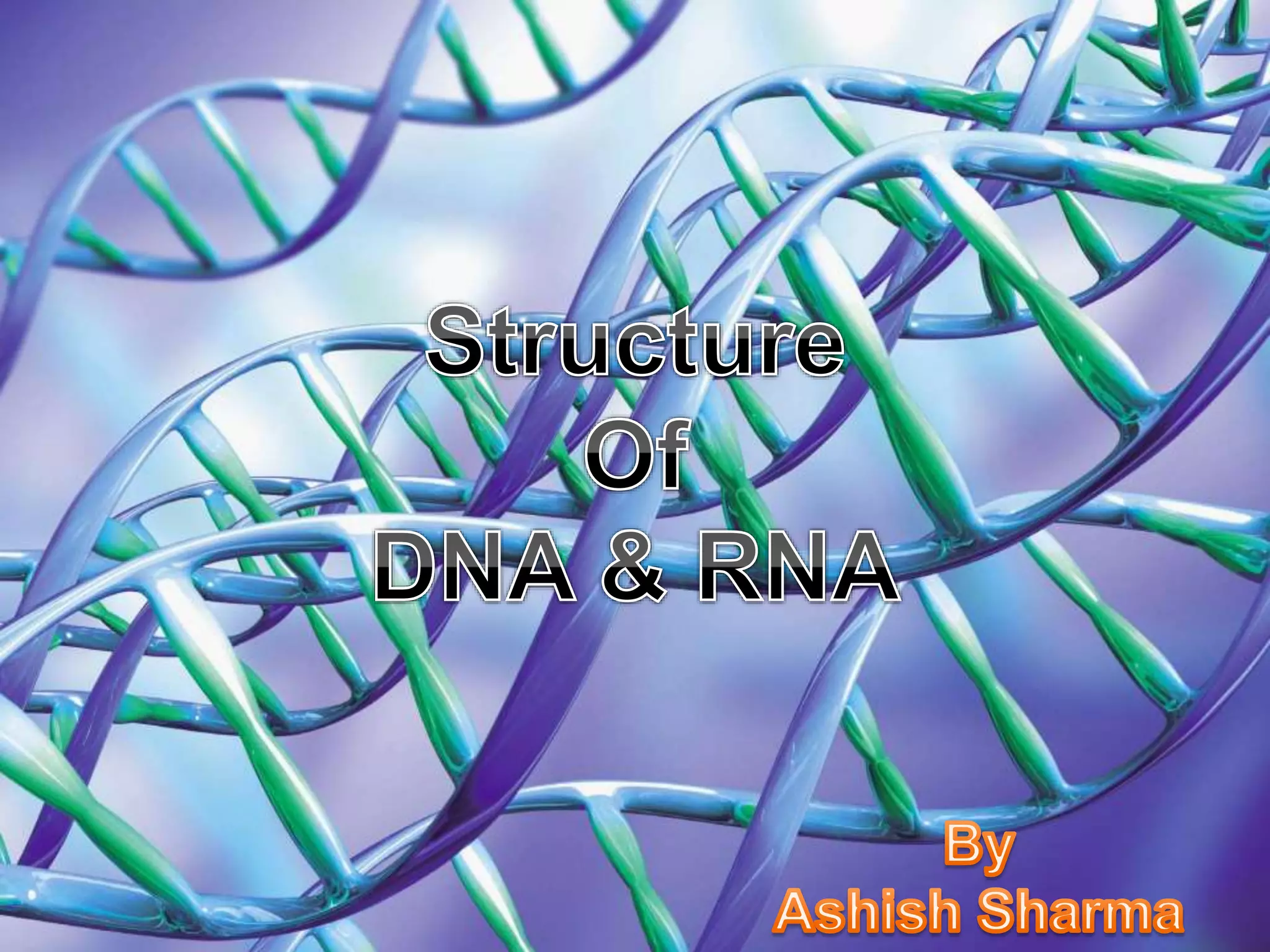 DNA & RNA | PPT