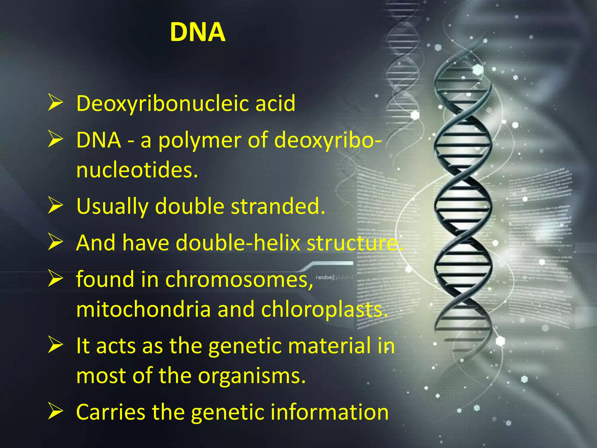 DNA & RNA | PPTX