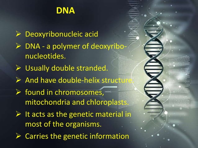 DNA & RNA | PPT