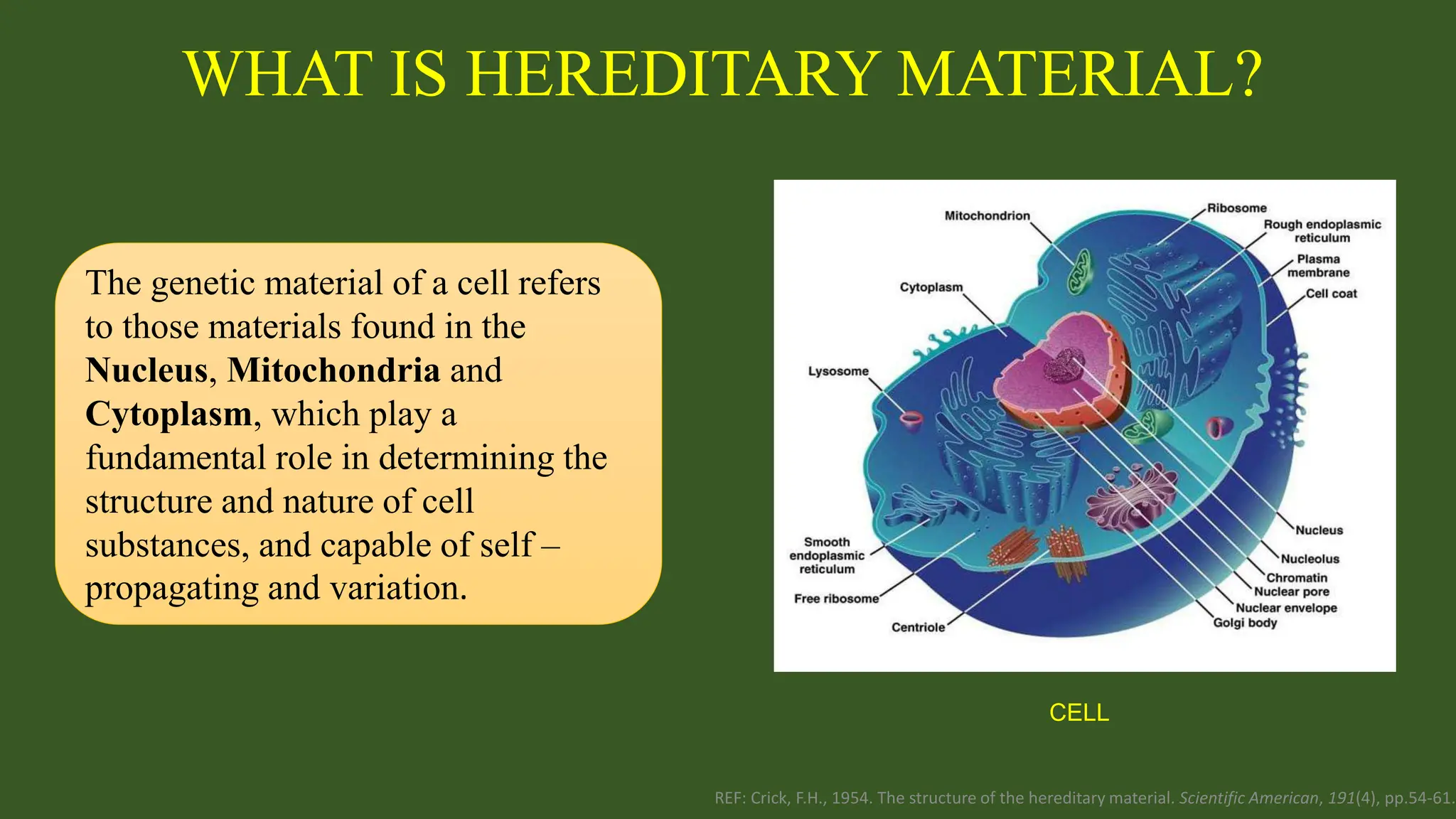 Cell contains heredity material | PPT