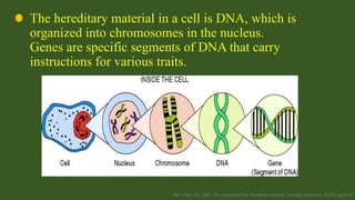 Cell contains heredity material | PPT