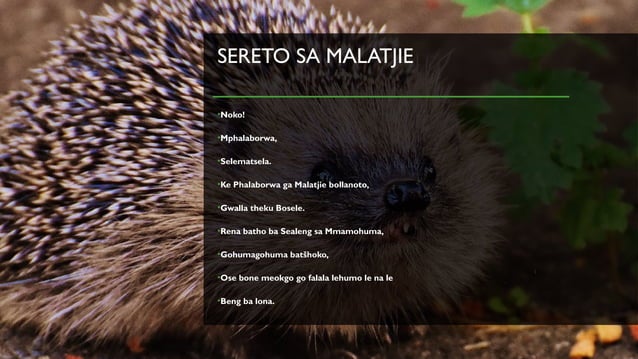 Final document KGOŠI MALATJI[1].pptx AFT | PPT