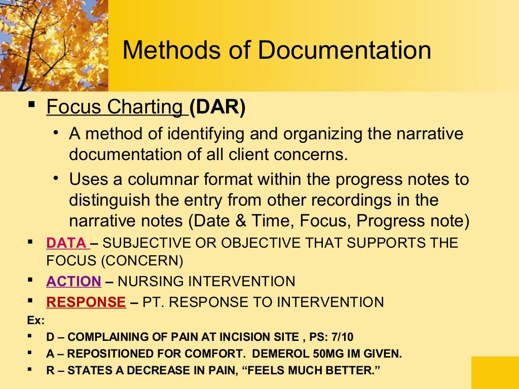 documentation-and-reporting