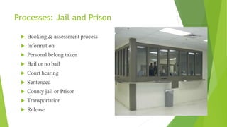 Final+draft+corrections+research+presentation | PPTX