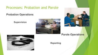 Final+draft+corrections+research+presentation | PPTX