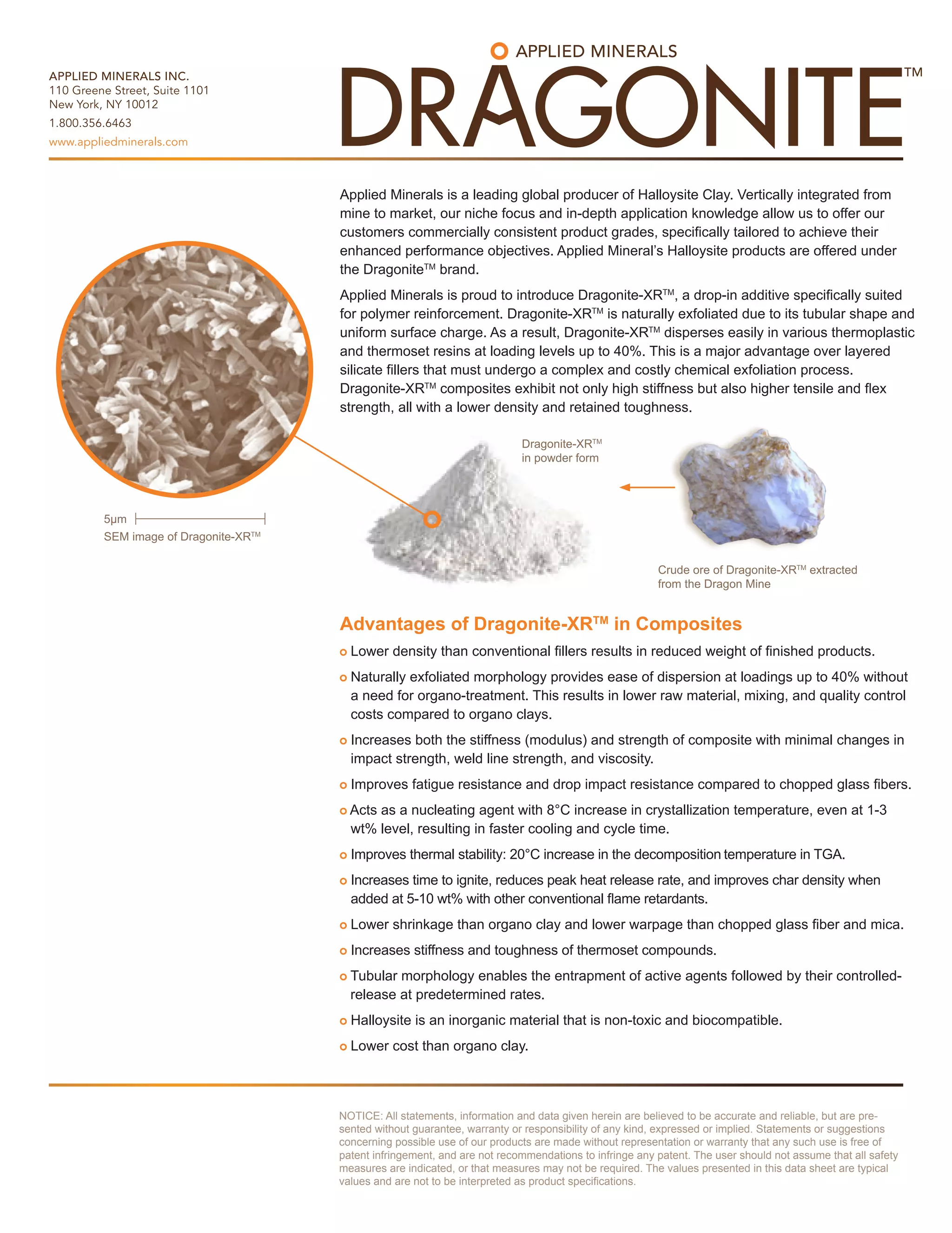 Dragonite -XR Brochure | PDF