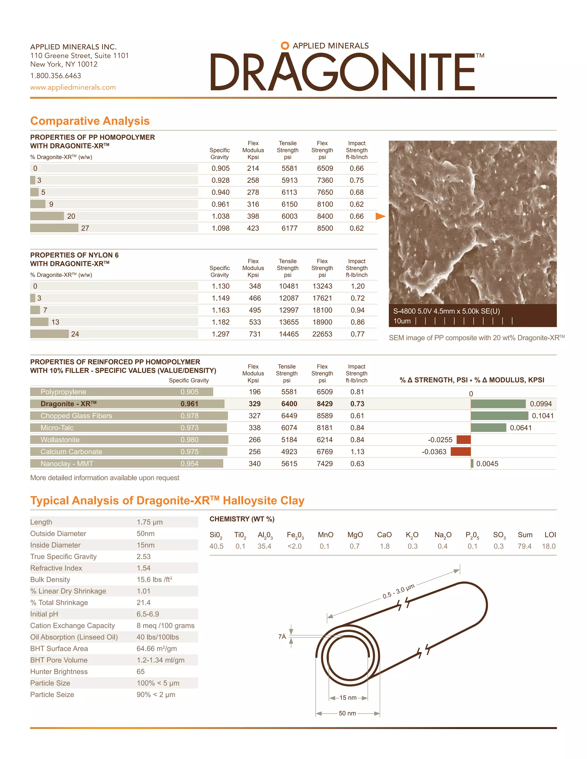 Dragonite -XR Brochure | PDF
