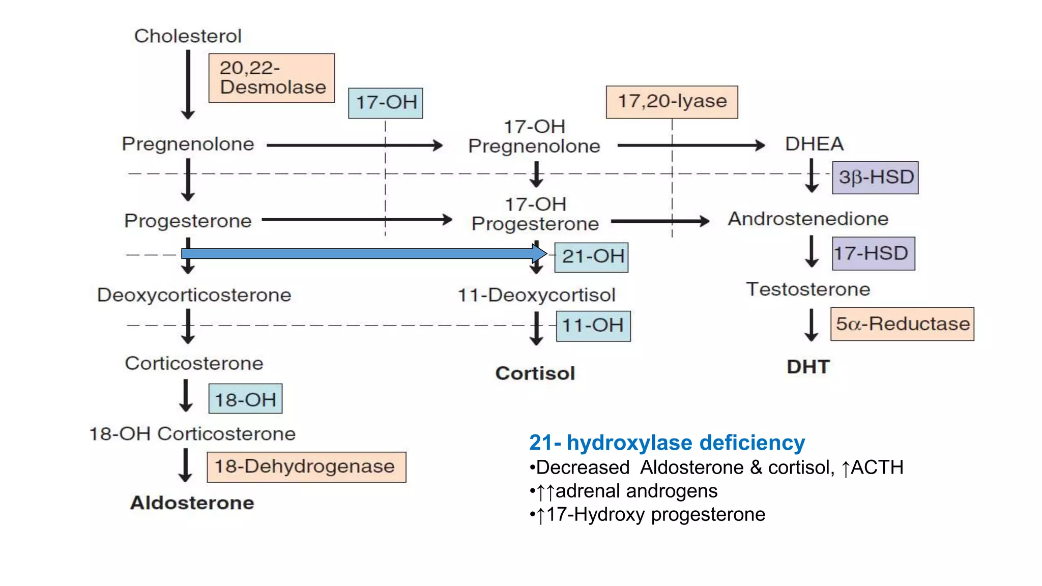 Seminar on DSD | PPT