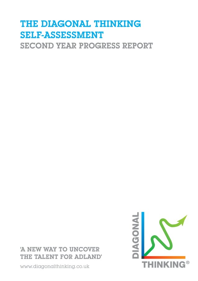 The Diagonal Thinking Self-Assessment - Second Year Progress Report | PDF