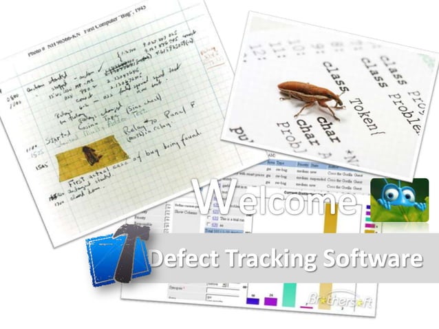 Defect Tracking Software Project Presentation | PPT
