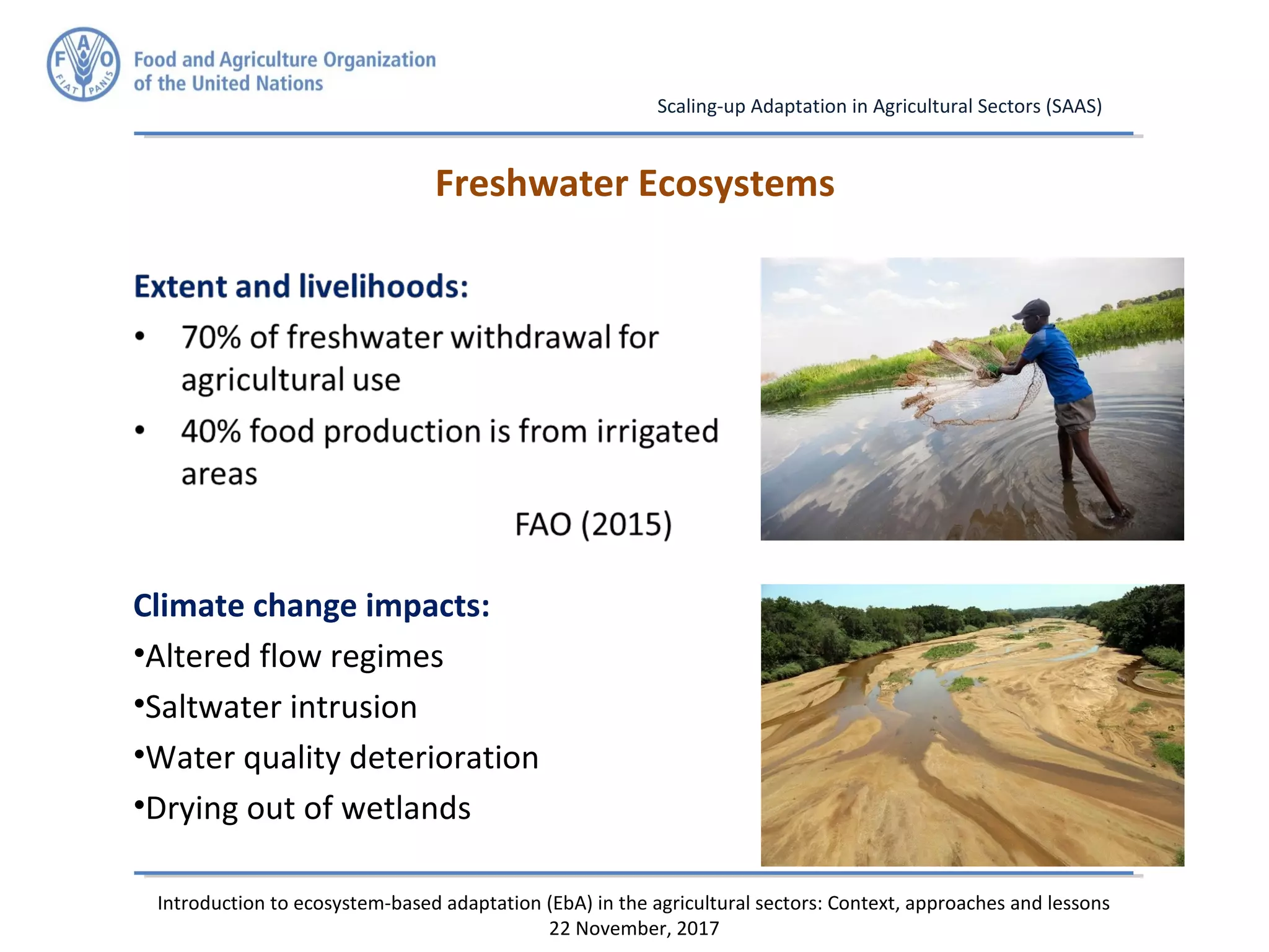 Introduction to ecosystem-based adaptation (EbA) in the agricultural ...